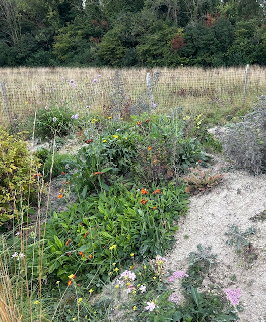 Friends of Selsdon Wood